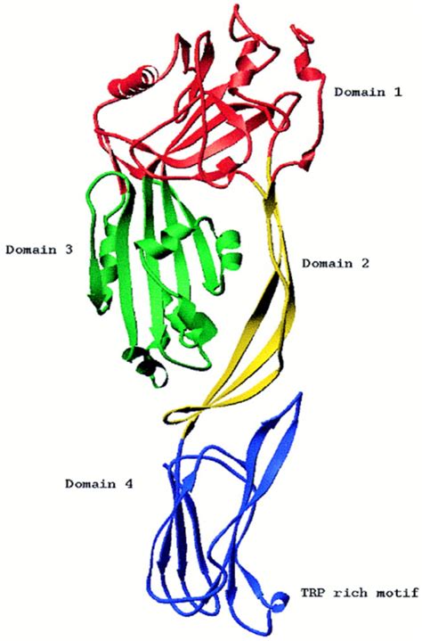 Toxins Special Issue Pore Forming Toxins