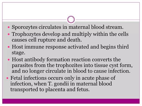 Torch Infection In Pregnancy Pptx