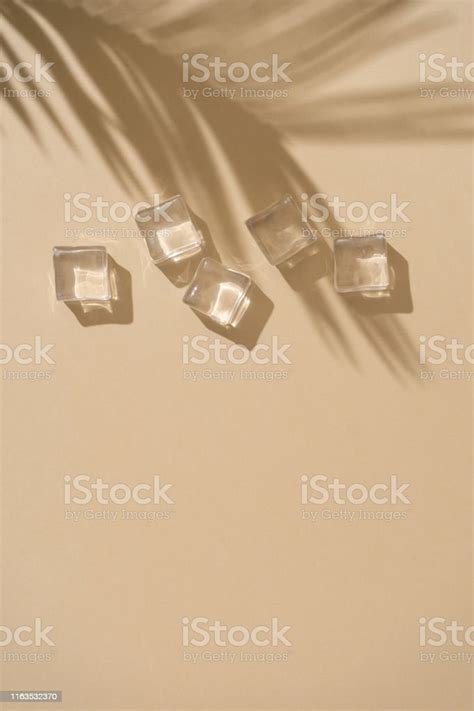 모래 파스텔 색상 배경에 얼음 조각과 열대 야자수 그림자와 여름 날 장면 0명에 대한 스톡 사진 및 기타 이미지 0명