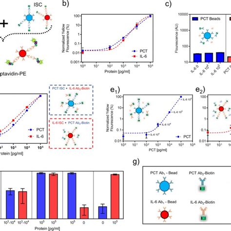 The Surface Flatness Measurement Using A White Light Interferometer Download Scientific