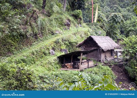 Small Village House In A Jungle Stock Image Image Of Sikkim Trees