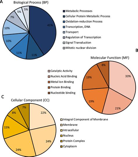 Blast2go Gene Ontology Of Degs Arranged By Functional Categories A Download Scientific