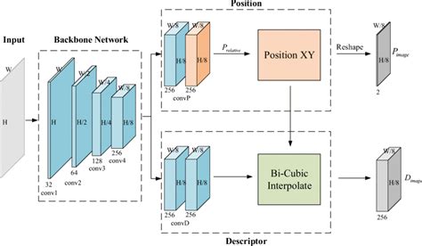 multi task feature extraction network structure download scientific