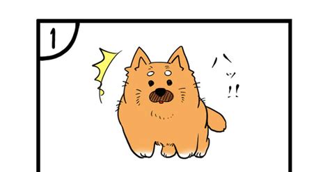 柴犬 柴犬4コマ 雪女@ウォッカ狂のイラスト Pixiv 柴犬 柴犬4コマ 雪女@ウォッカ狂のイラスト Pixiv