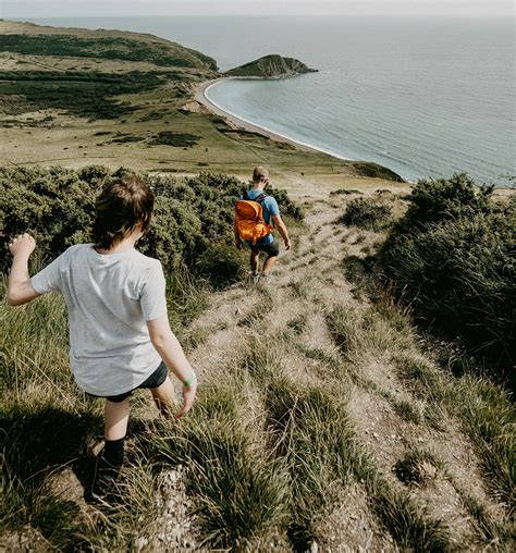 Top 5 Coastal Hikes In Bodega Bay California