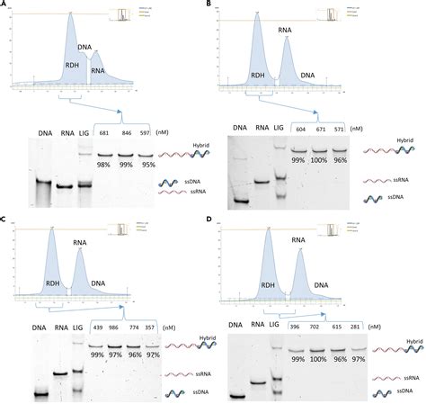 Cell Press Star Protocols