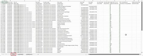 Export Schedule Data To Excel From P6 Ten Six
