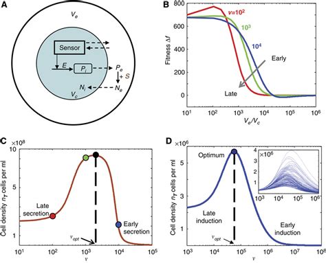 Effector Model And Optimal Sensor Tuning A A QS Mediated Synthesis Download Scientific