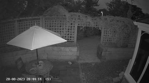 Hedgehogs Object Detection Dataset And Pre Trained Model By Stuarts Workspace