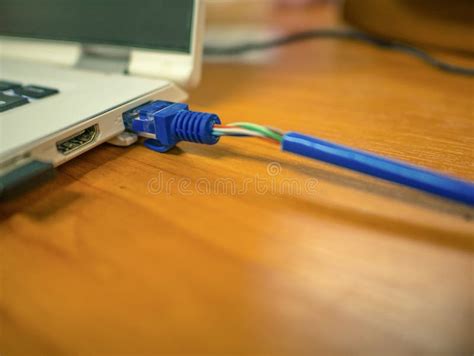 LAN Cable Connect To Laptop Stock Image Image Of Link Data