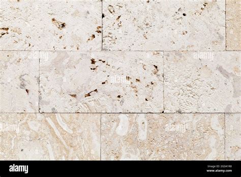 Fossiliferous Limestone Rock Texture At Lori Sullivan Blog