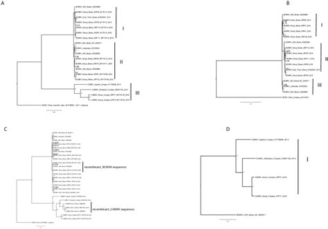 Bayesian Analysis Of Near Complete Genome Of Bean Common Mosaic Download Scientific Diagram
