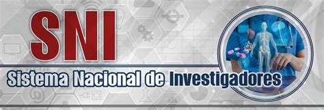 Investigación Inicio Sni