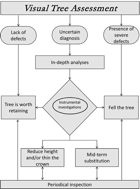 Decision Tree For Visual Tree Assessment Download Scientific Diagram