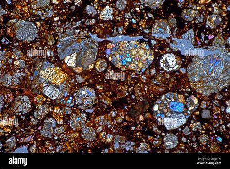 Nwa Meteorite Slide Section Polarized Photomicrograph Chondrule Rich Sahara Desert Morocco