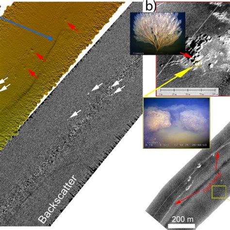 A High Resolution Multibeam Bathymetry Showing Sediment Undulations On Download Scientific