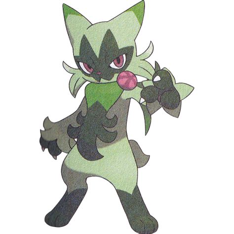 Floragato “grass Cat Pokémon” Cat Pokemon Pokemon Art Pokemon Drawings