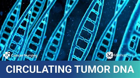 Circulating Tumor Dna In Colorectal Cancer What Providers Need To Know