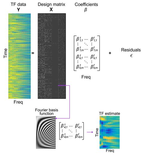 Convolution General Linear Model Standard Pseudo Continuous Download Scientific Diagram