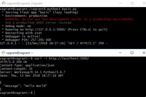 Unable To Access Werkzeug Server Running In Vagrant Machine From The