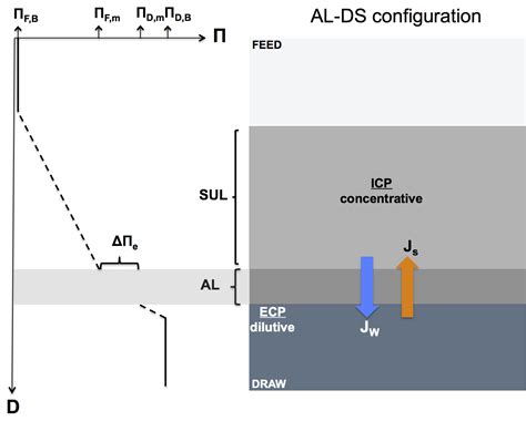 Concentration Polarization In Forward Osmosis Membranes