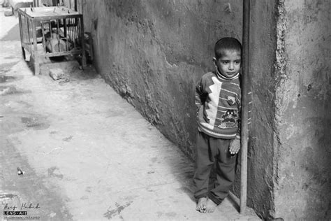 asif habib insearch pk