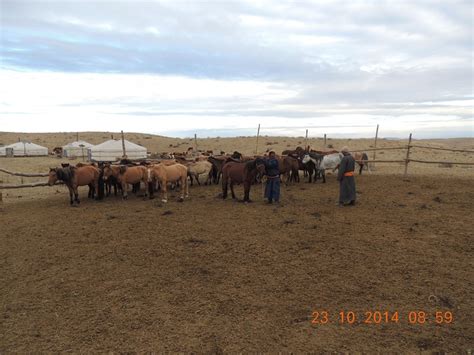 Отрын бүс нутагт