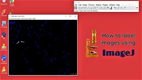 How To Label Images Using Imagej Youtube