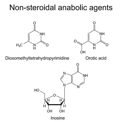 비 스테로이드 단백 동화 화합물 벡터의 구조 Eps Ai Uidownload
