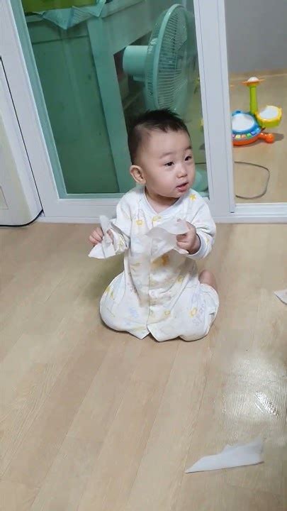 고슴도치 엄마 추억쌓기청소하는 11개월아가 Youtube