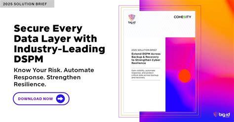 Cohesity Datasecurity Compliance Cyberresilience Bigid