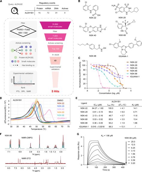 Identifying Compound Protein Interactions With Knowledge Graph Embedding Of Perturbation