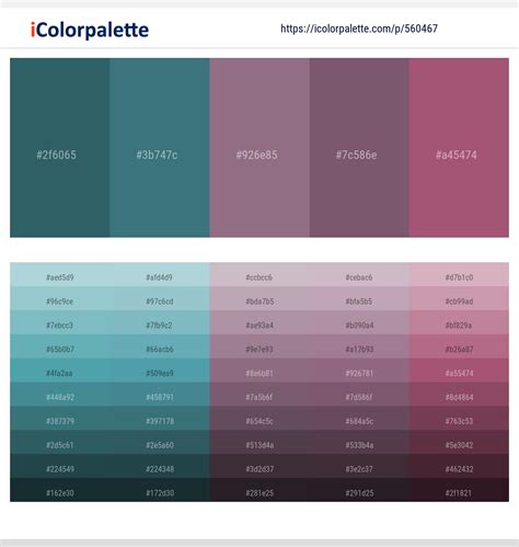 200 Latest Color Schemes With Oracle Color Tone Combinations 2024 Icolorpalette