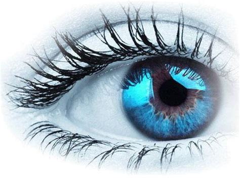 A Guide to Healthy Eyes 5 Tips