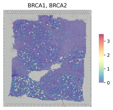 Core Plotting Functions — Stlearn 0411 Documentation