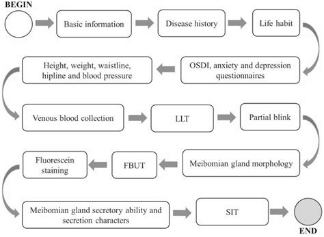 Examination Flowing Chart Osdi Ocular Surface Disease Index
