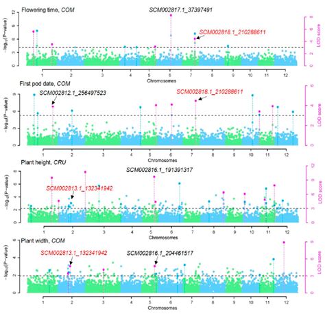 Genome Wide Quantitative Trait Loci Qtl Associated With Different