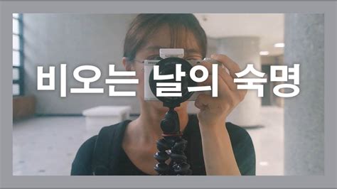 대학 Vlog 비 오는 날 숙명여대 Youtube