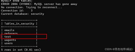 【sql注入 堆叠注入】多语句执行、结合其他注入 Csdn博客
