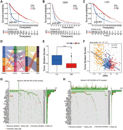 Dna Methylation Regulator Mediated Modification Patterns And Tumor