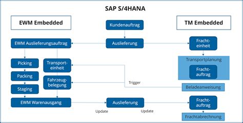 SAP Transportation Management Funktionen Vorteile Migration Rewion