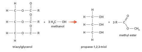AS A Level Chemistry Esters A Level Chemistry Organ