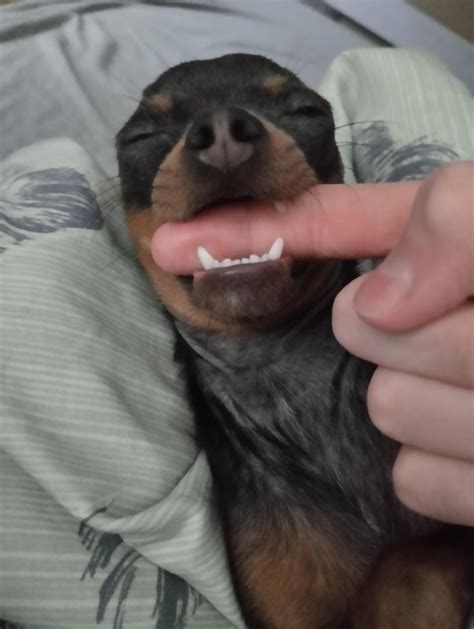 Name This New Entity Guys Rdoorsroblox