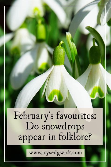 February Favourites Do Snowdrops Appear In Folklore