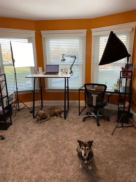 Evelop On Linkedin Enhancing Microlearning With Marketing Techniques