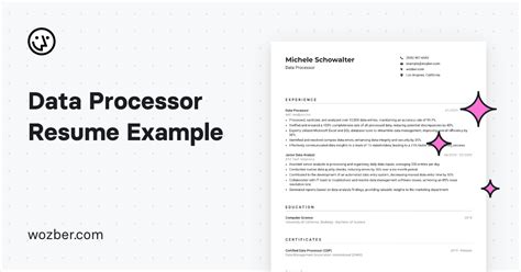 Data Processor Resume Example