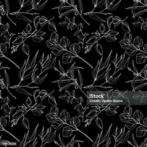 벡터 유칼립투스 나무는 정글 식물을 나뭇잎 흑백 잉크 아트가 새겨져 있습니다 원활한 배경 패턴 0명에 대한 스톡 벡터 아트 및 기타 이미지 Istock