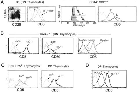 a cd5 surface expression on cd4⁻cd8⁻ dn thymocyte subsets dn