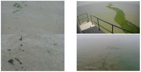 Algaemask An Instance Segmentation Network For Floating Algae Detection