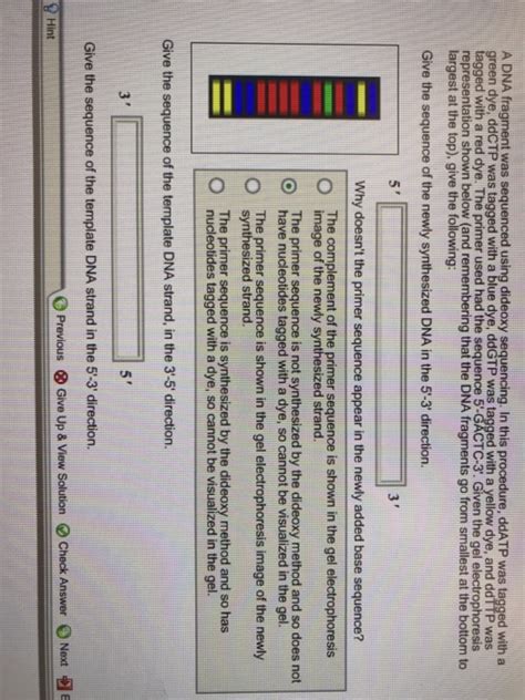 Solved A Dna Fragment Was Sequenced Using Dideoxy